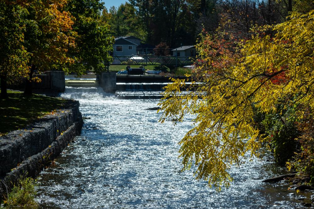 Home page | Town of Georgina